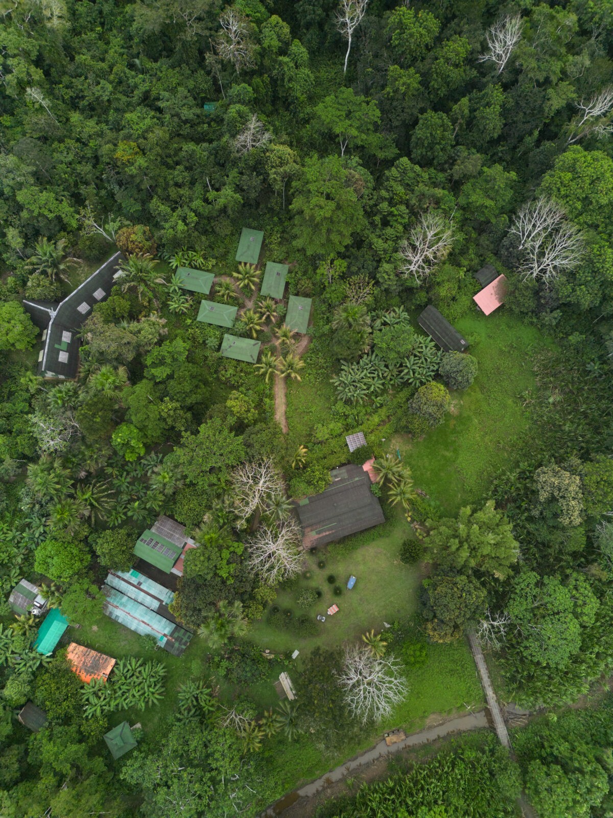Manu Lodge Peru | Visit Manu National Park | Tambo Blanquillo